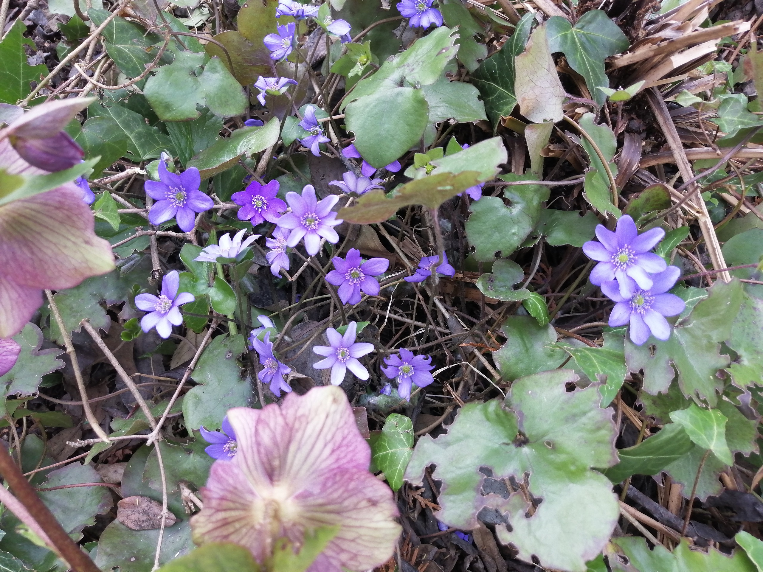 Život Úval KVĚTEN 2021 - Město Úvaly